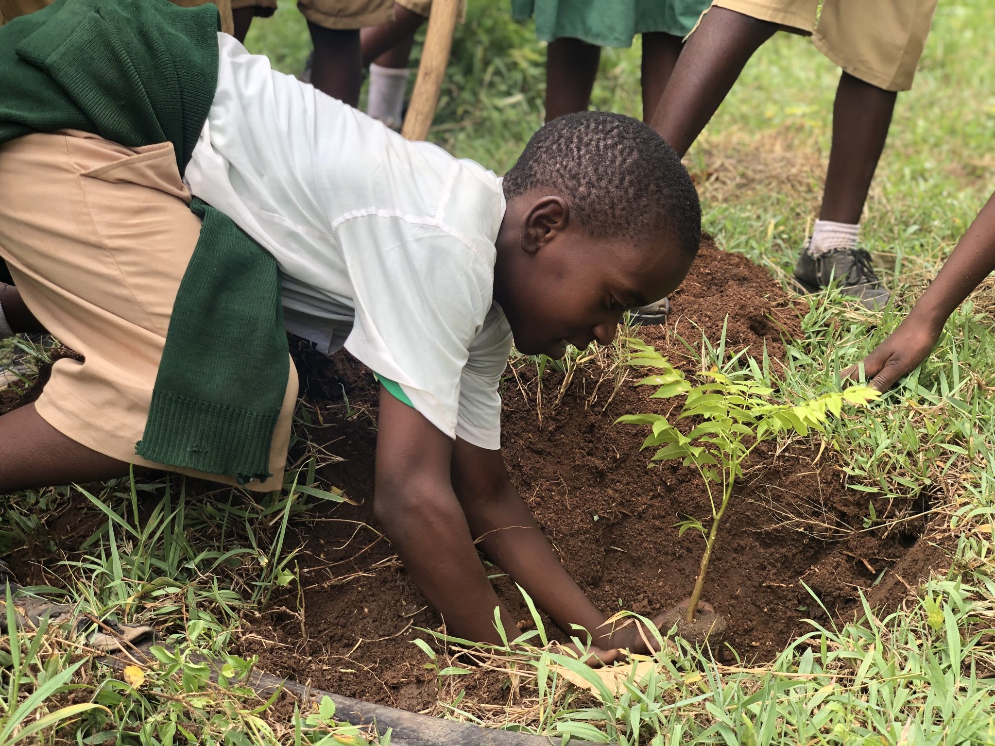 About Us - Envirokids